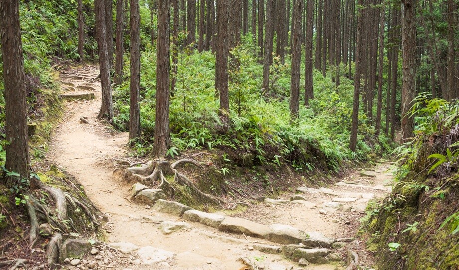 Digital Optimization vs. Digital Transformation Digital Optimization vs. Digital Transformation